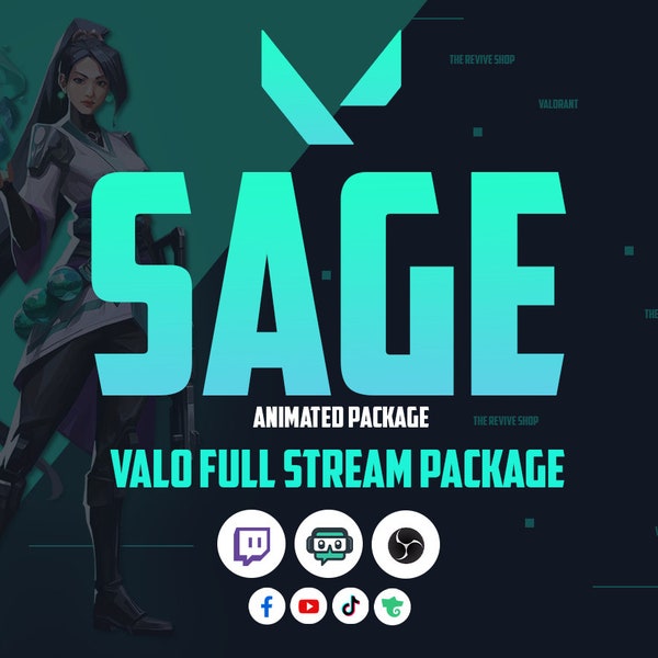 Cute Valorant Stream Overlays - Etsy