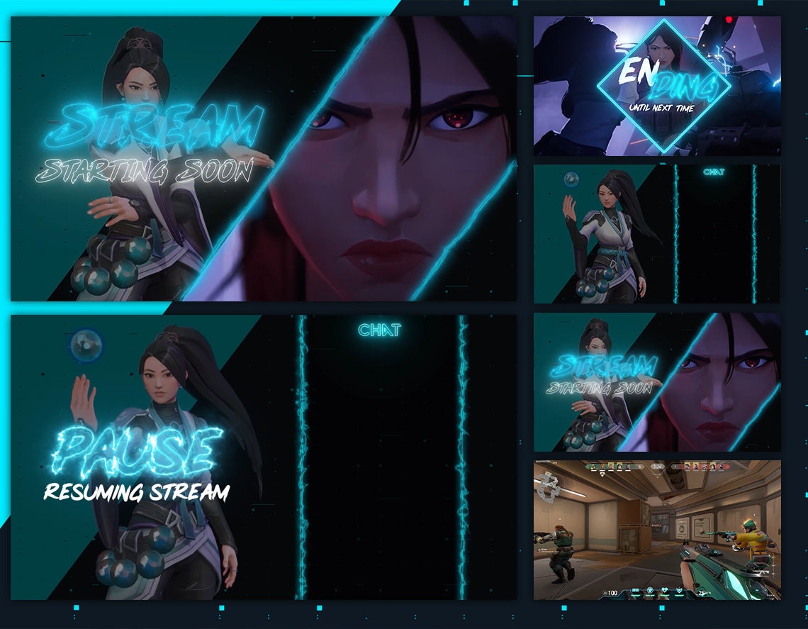 Valorant Stream Pack - Sage Animated Twitch Overlays | Sage Ingame HUD ...