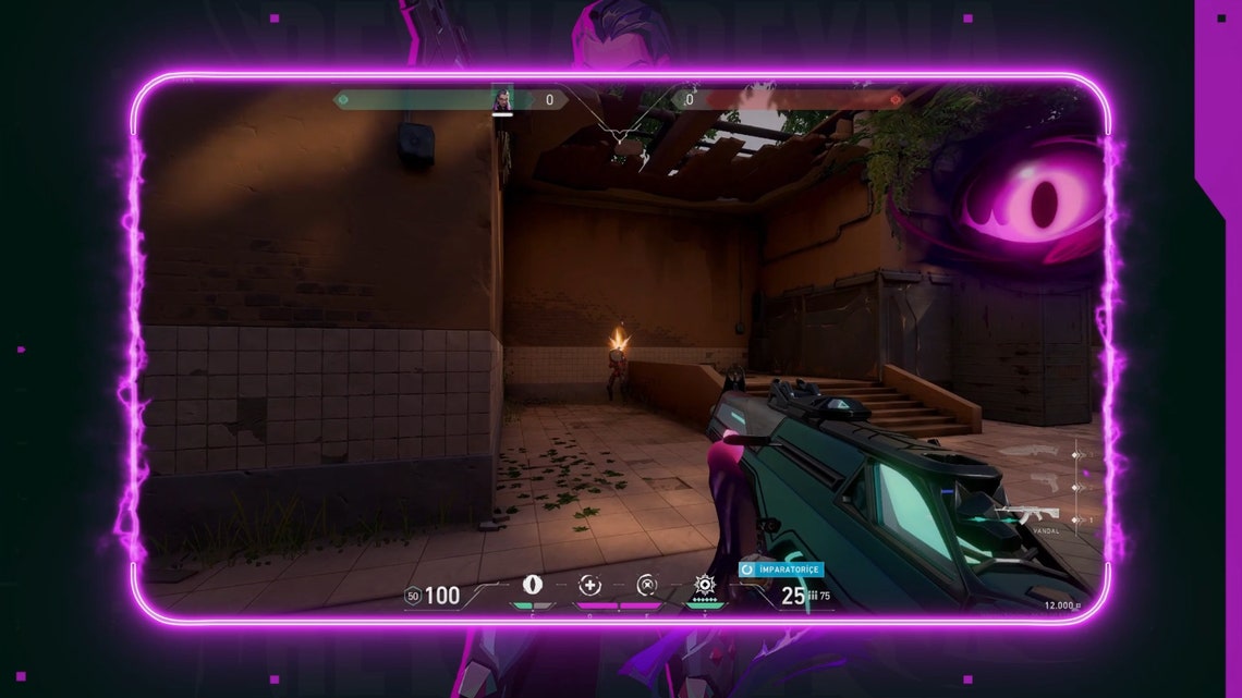 REYNA Valorant Stream Overlays Pack - Cute REYNA Stream Overlays ...