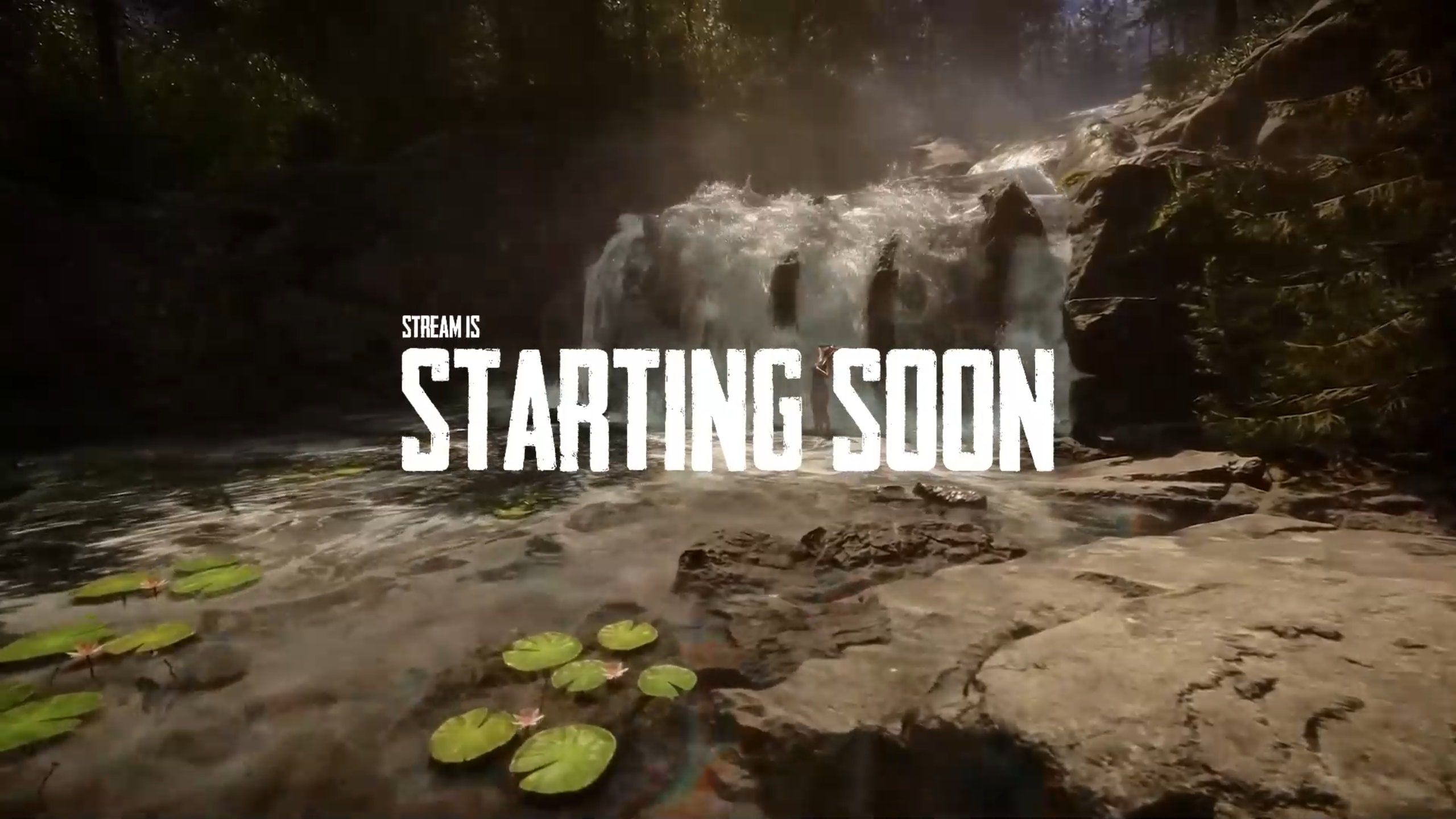 Sons of the Forest Stream Overlay | Starting, Pause, Ending Screen ...