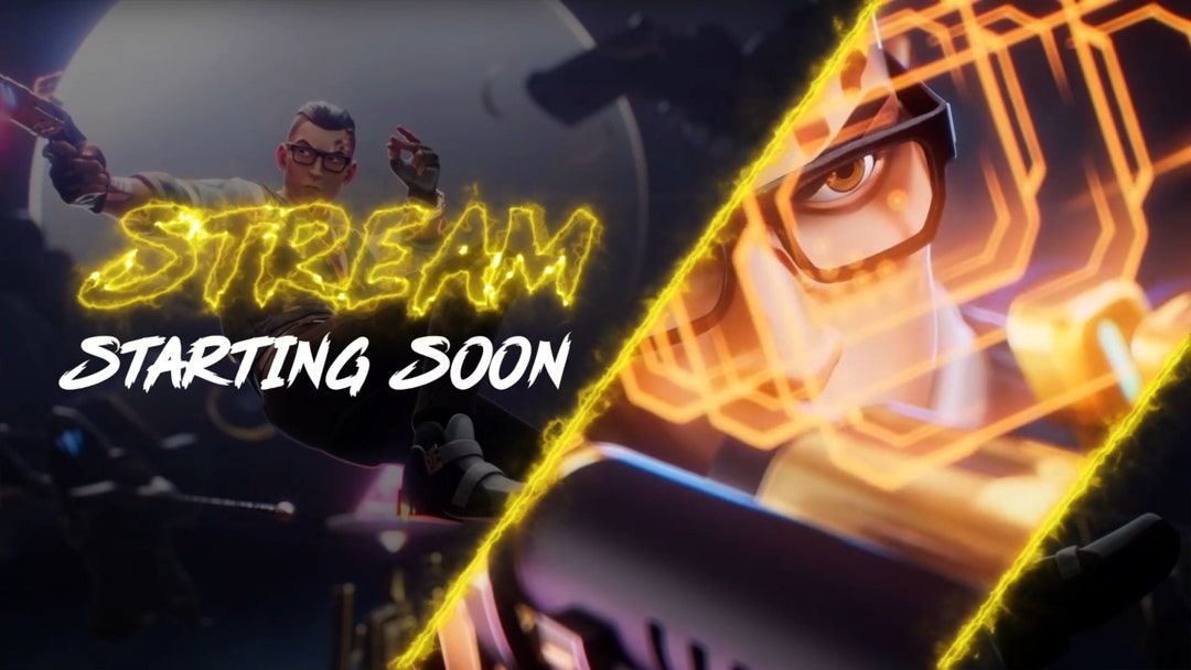 Valorant Stream Pack Chamber Animated Twitch Overlays and - Etsy UK