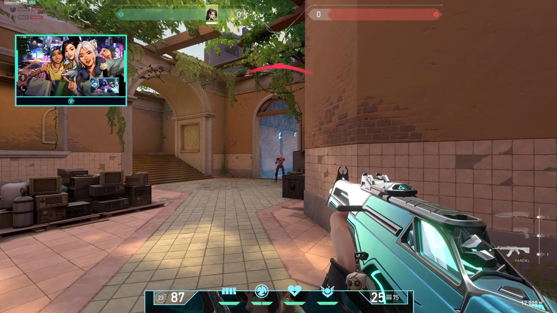 SAGE Valorant Stream Overlays Pack Cute SAGE Animated Stream Overlay ...