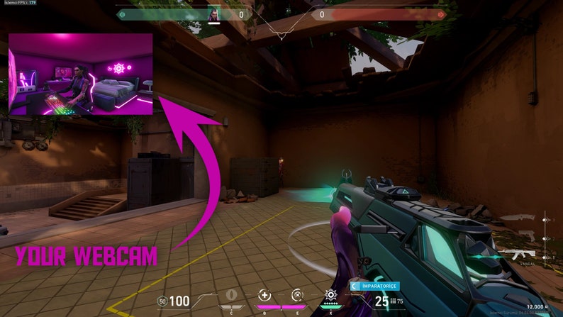 HD Valorant Reyna Animated Virtual Camera (webcam / Screen) - 1080p ...