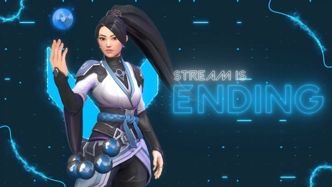 SAGE Valorant Stream Overlays Pack Cute SAGE Animated Stream Overlay ...