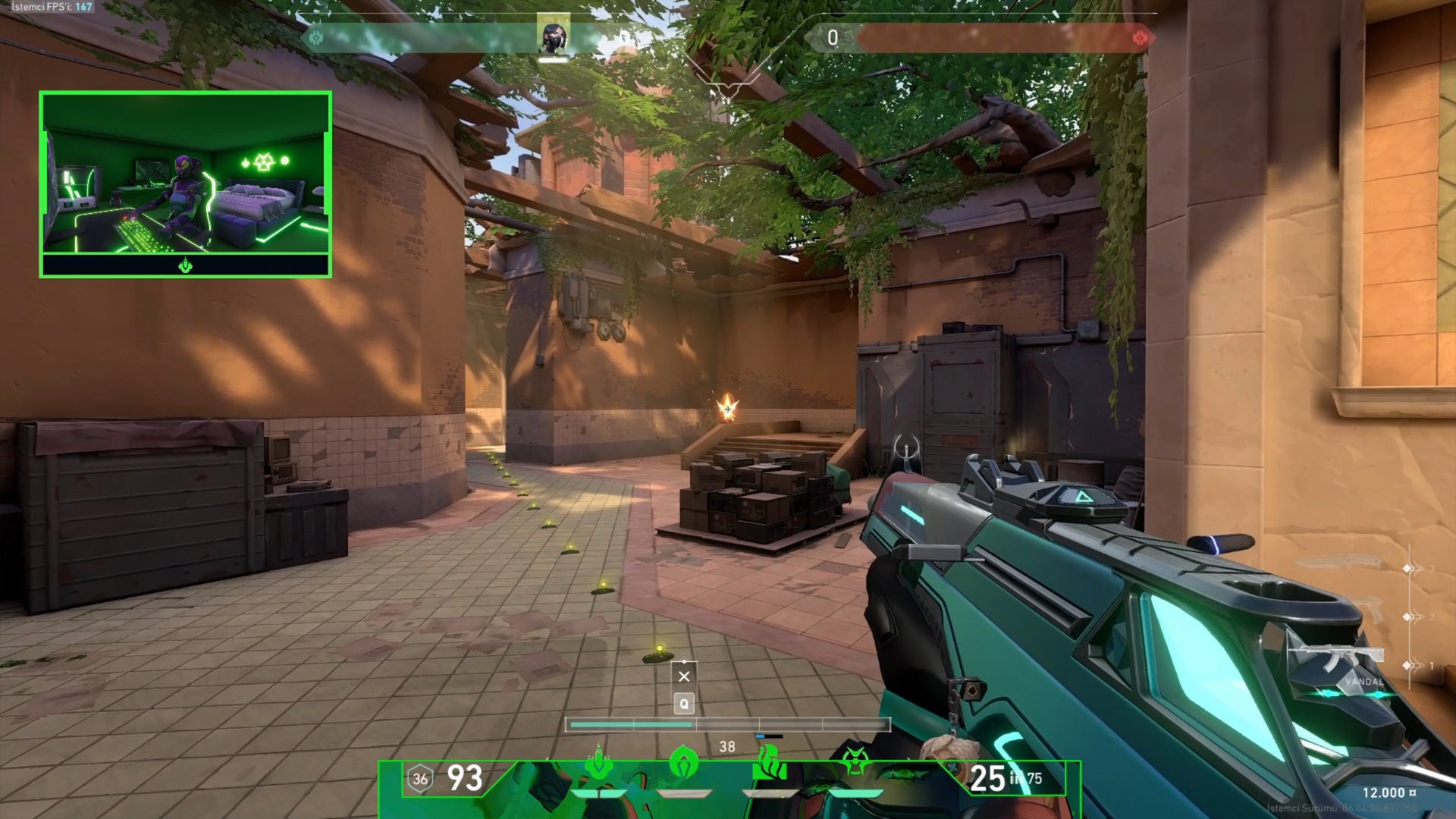 Viper Valorant Stream Overlay Pack Cute Viper Stream Overlay Twitch ...