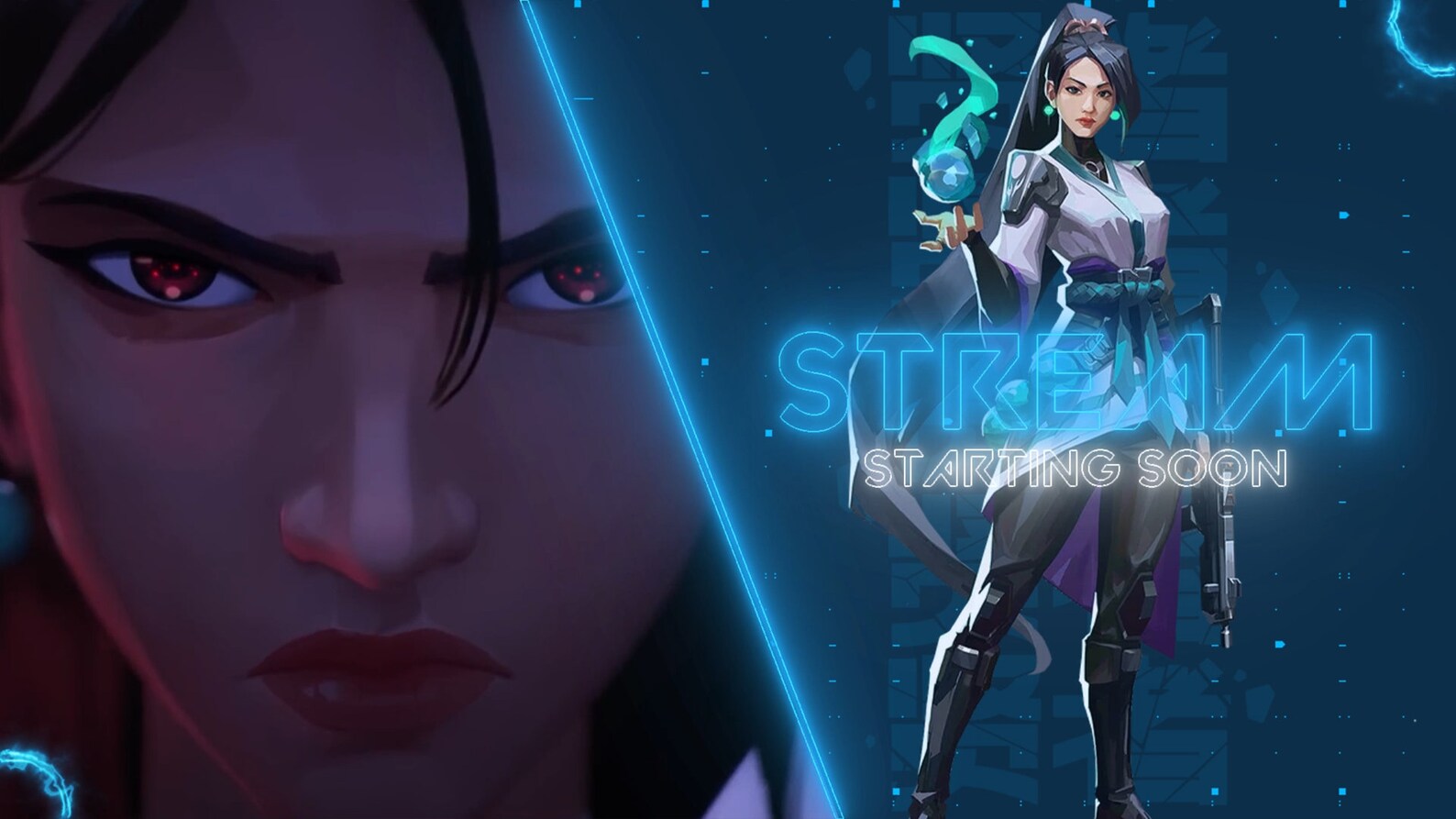 SAGE Valorant Stream Overlays Pack Cute SAGE Animated Stream Overlay ...