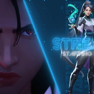 SAGE Valorant Stream Overlays Pack - Cute SAGE Animated Stream Overlay ...