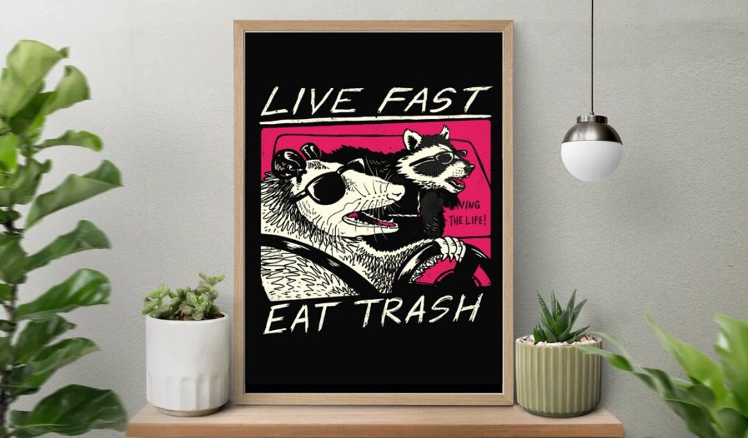 Raccoon Wall Art Raccoon Poster Downloadable Wall Art Live - Etsy