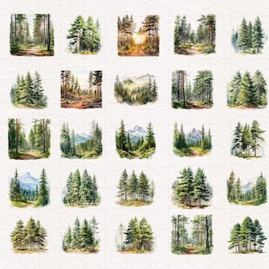 Forest Tree Clipart Pine Forest Watercolor PNG Pine Trees Mountain ...
