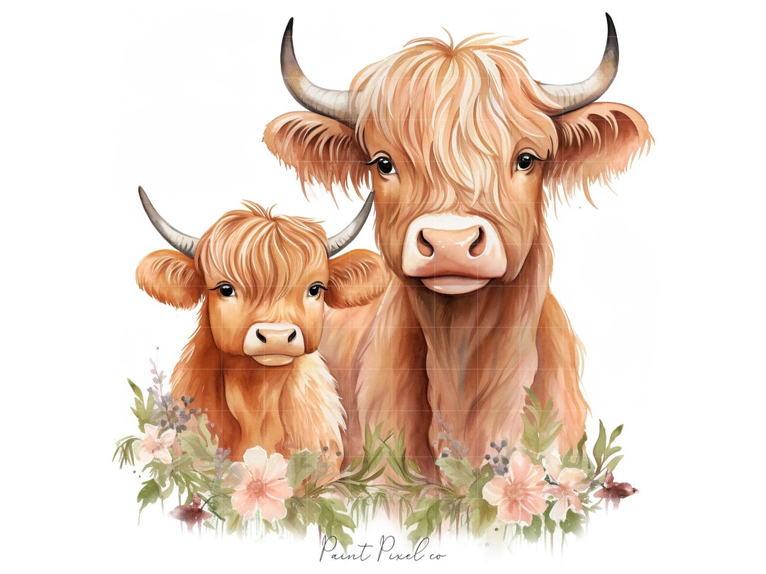 8 Highland Cow Clipart High Quality Jpgs Mom & Baby Calf Animal Clip ...