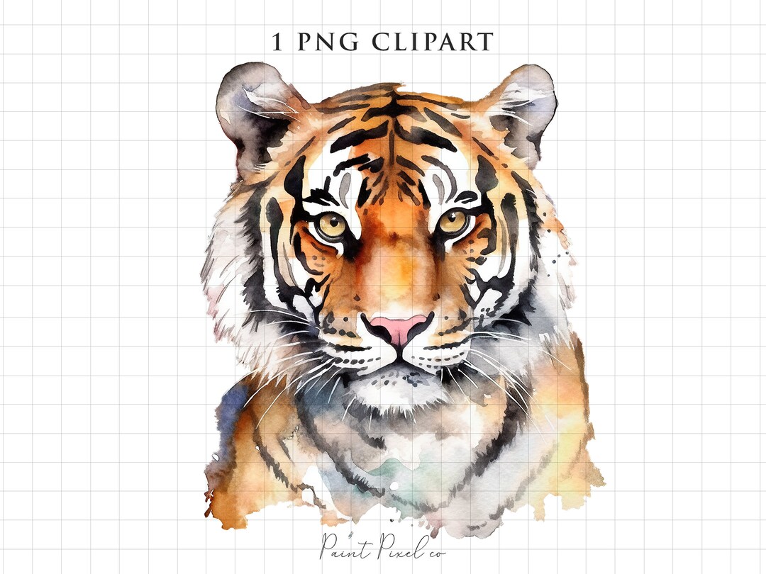 Safari Animals Clipart Tiger PNG Watercolor Tiger Clipart Sublimation ...