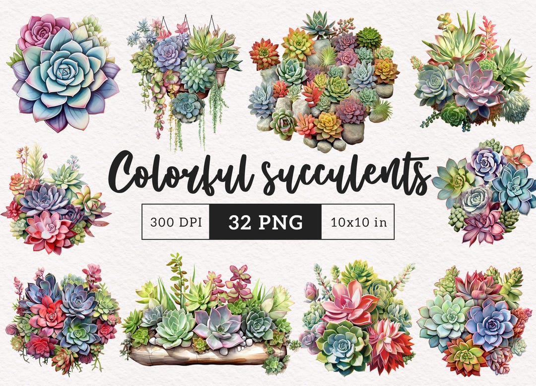 Colorful Succulent Groupings Clipart Watercolor Succulent PNG Plant ...