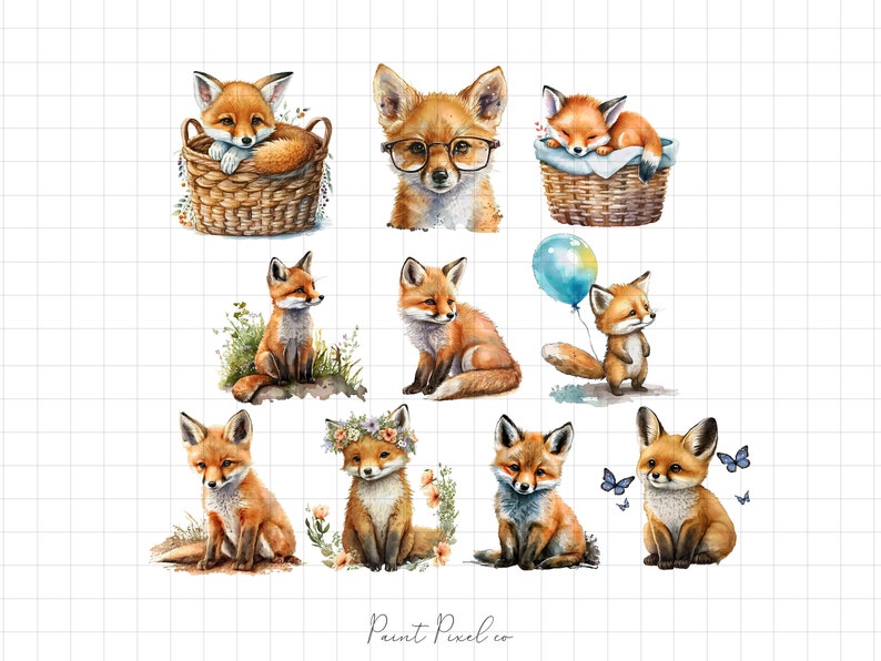 75 Woodland Animals PNG Watercolor Baby Animals Clipart Baby - Etsy