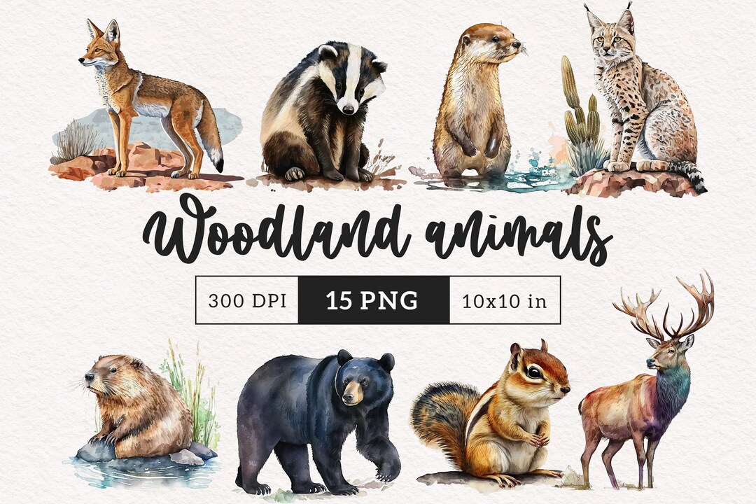 Forest Animals PNG Woodland Animals Clipart Bear Fox Coyote PNG Jungle ...