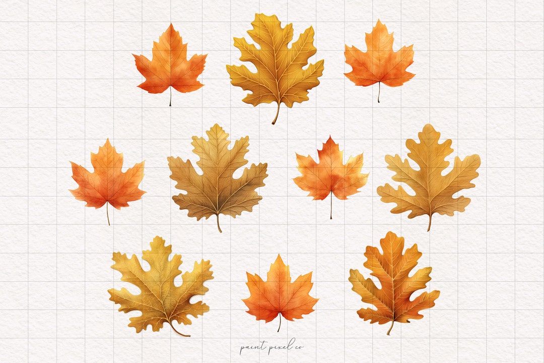 10 Autumn Leaves Clipart Boho Leaf Scenery PNG Watercolor Maple ...