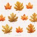 10 Autumn Leaves Clipart Boho Leaf Scenery PNG Watercolor Maple ...