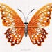 4 Orange Butterfly PNG Glittery Butterflies Clipart Butterfly ...