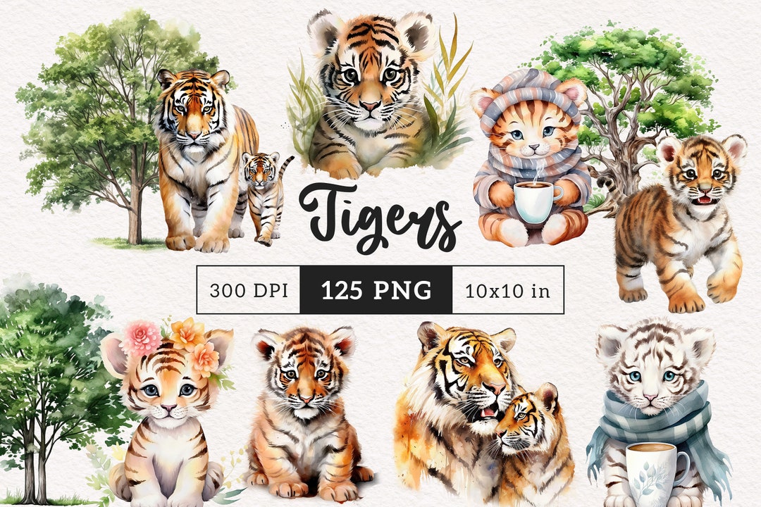 Tiger Clipart PNG Bundle Watercolor Safari Animal Sublimation Transfer ...