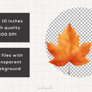 10 Autumn Leaves Clipart Boho Leaf Scenery PNG Watercolor Maple ...