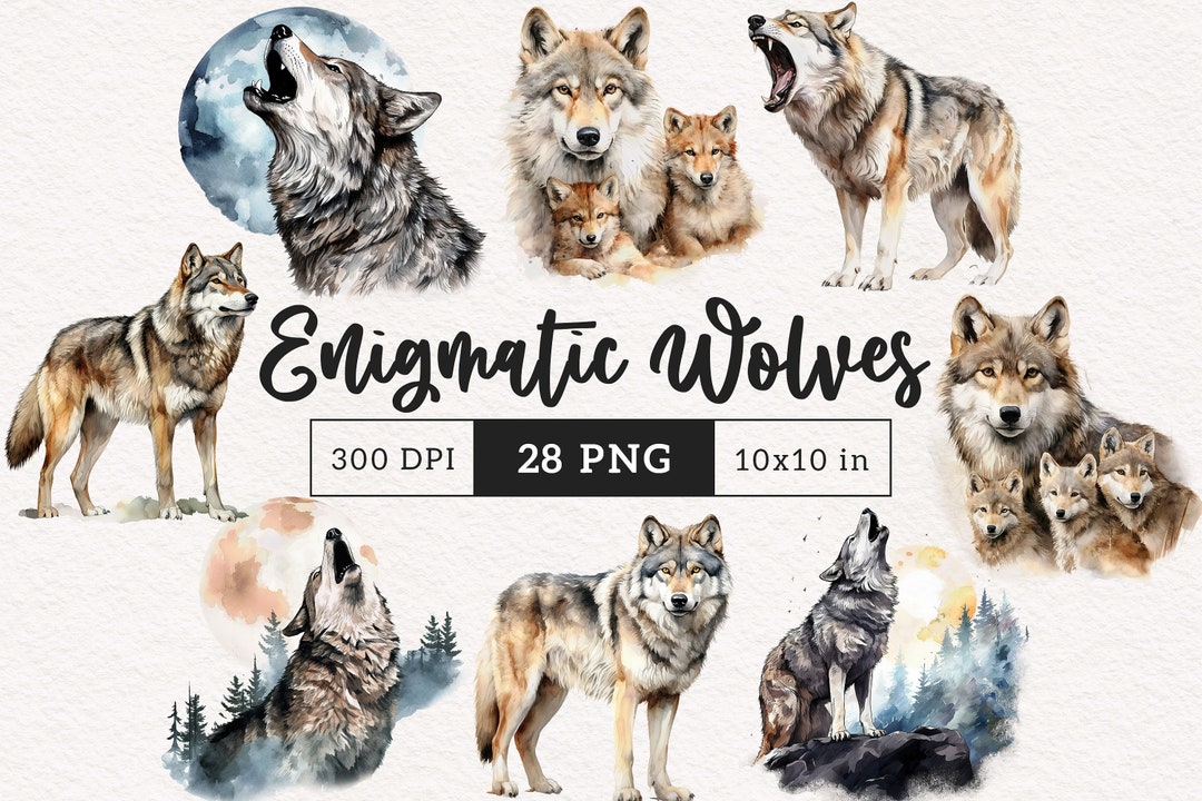 Howling Wolf Clipart PNG Bundle Watercolor Wolves Sublimation Transfer ...
