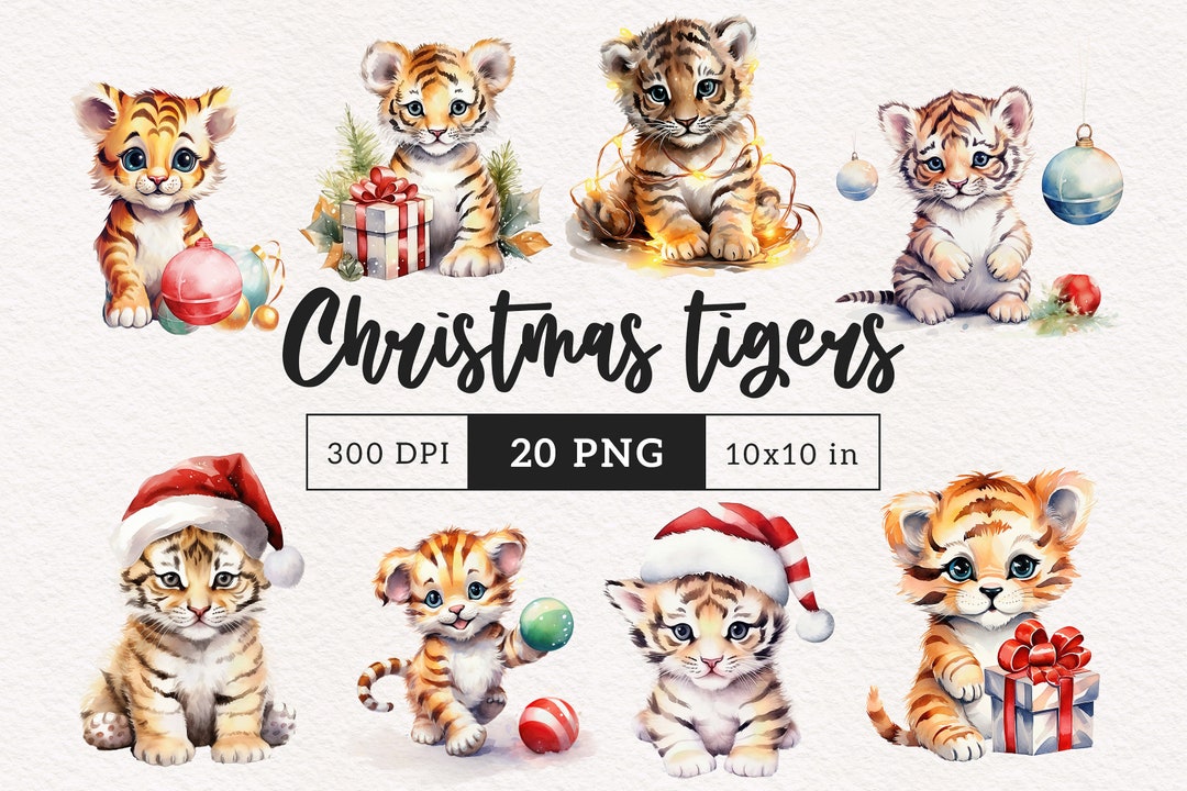 Christmas Tiger Clipart PNG Holiday Safari Animal Bundle Watercolor ...