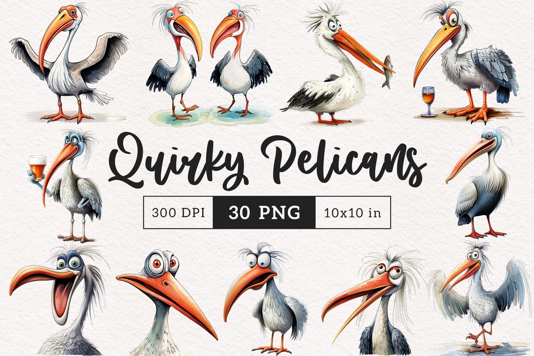 Funny Pelican Clipart Quirky Birds PNG Summer Beach Birds Whimsical ...