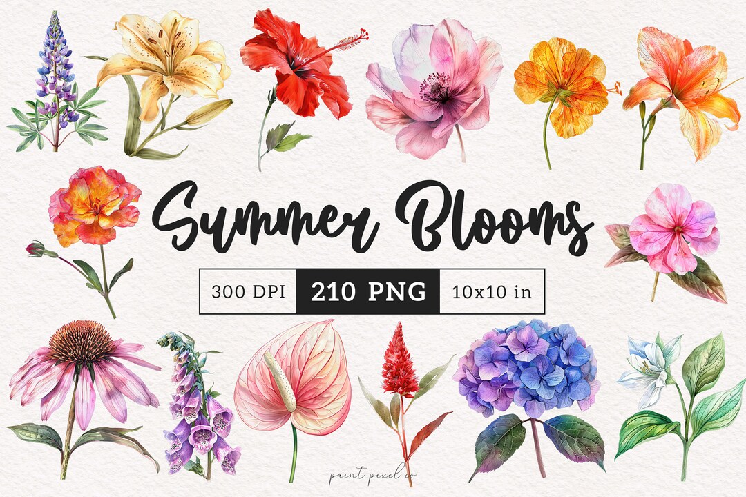 Summer Flowers Clipart PNG Watercolor Summer Floral Graphics Bright ...
