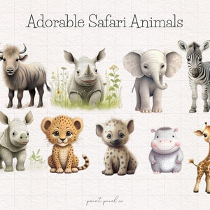 Pink Safari Animals PNG Cute Wildlife Clipart African Safari Jeep ...