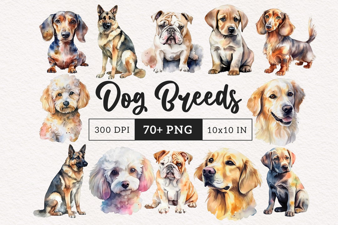 Dog Breeds Clipart PNG Watercolor Pup Clipart Puppy Pet Lover Clip Art ...