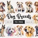 Dog Breeds Clipart PNG Watercolor Pup Clipart Puppy Pet Lover Clip Art ...