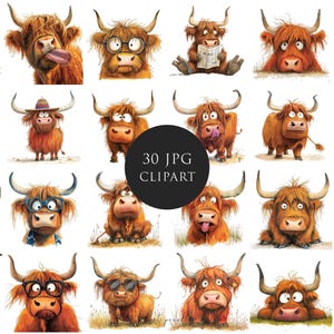 30 Quirky Highland Cow JPG Clipart Whimsical Cows Cute Sublimation Clip ...
