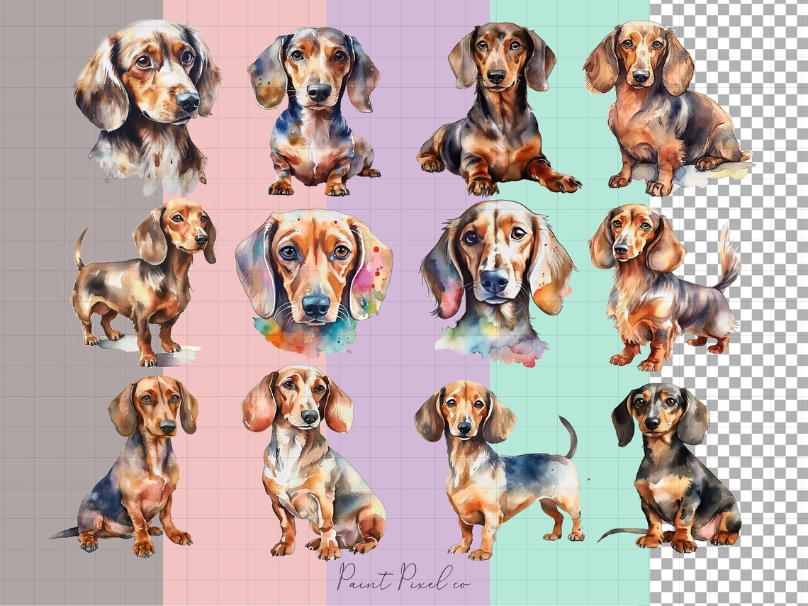 Dachshund Dog Clipart PNG Watercolor Dogs Clipart Puppy PNG Pet Clipart ...