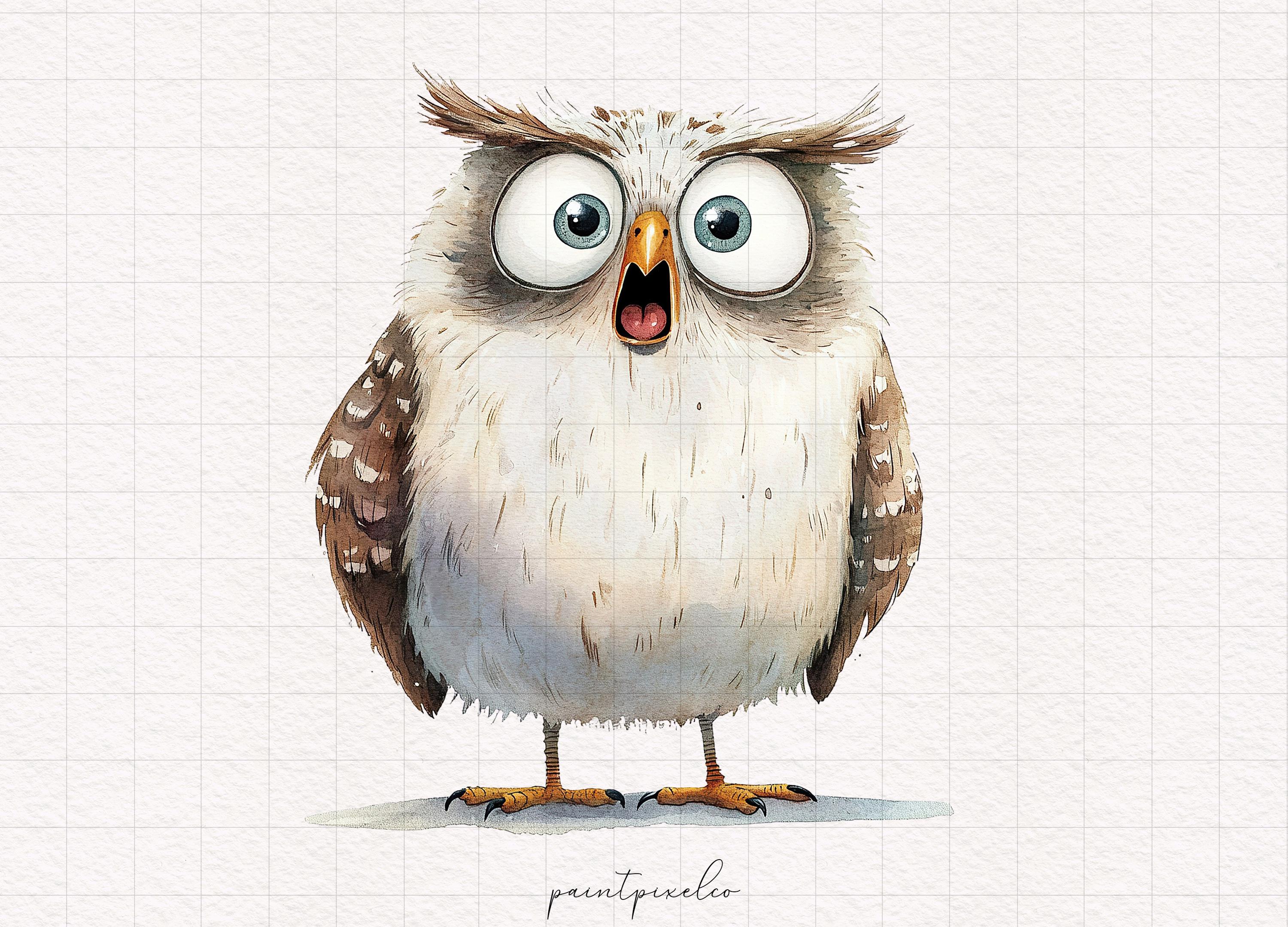 Quirky Owl Clipart Funny Birds PNG Whimsical Animals Clip Art Whimsy ...