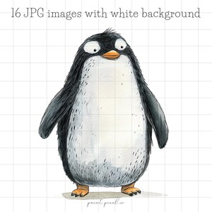 16 Quirky Penguin JPG Clipart Winter Birds Arctic Whimsical Watercolor ...