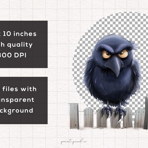 Grumpy Raven Clipart Raven on Pumpkin PNG Whimsical Black Birds ...