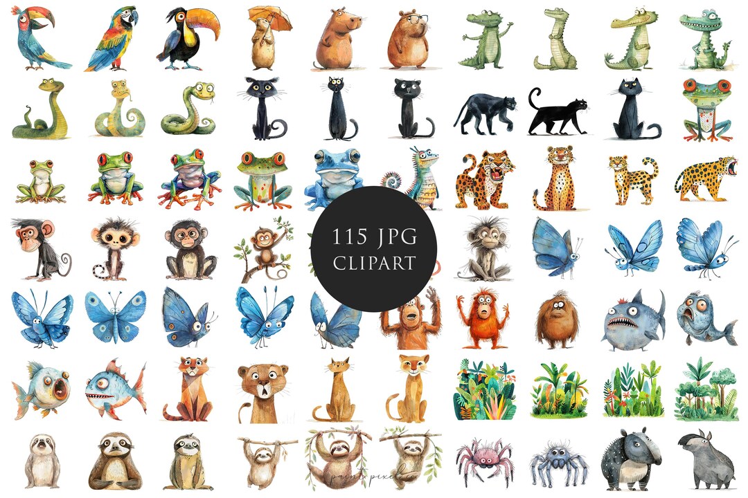 115 Quirky Rainforest Animals JPG Clipart Whimsical Sublimation Clip ...