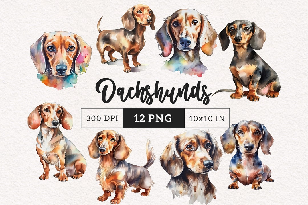 Dachshund Dog Clipart PNG Watercolor Dogs Clipart Puppy PNG Pet Clipart ...
