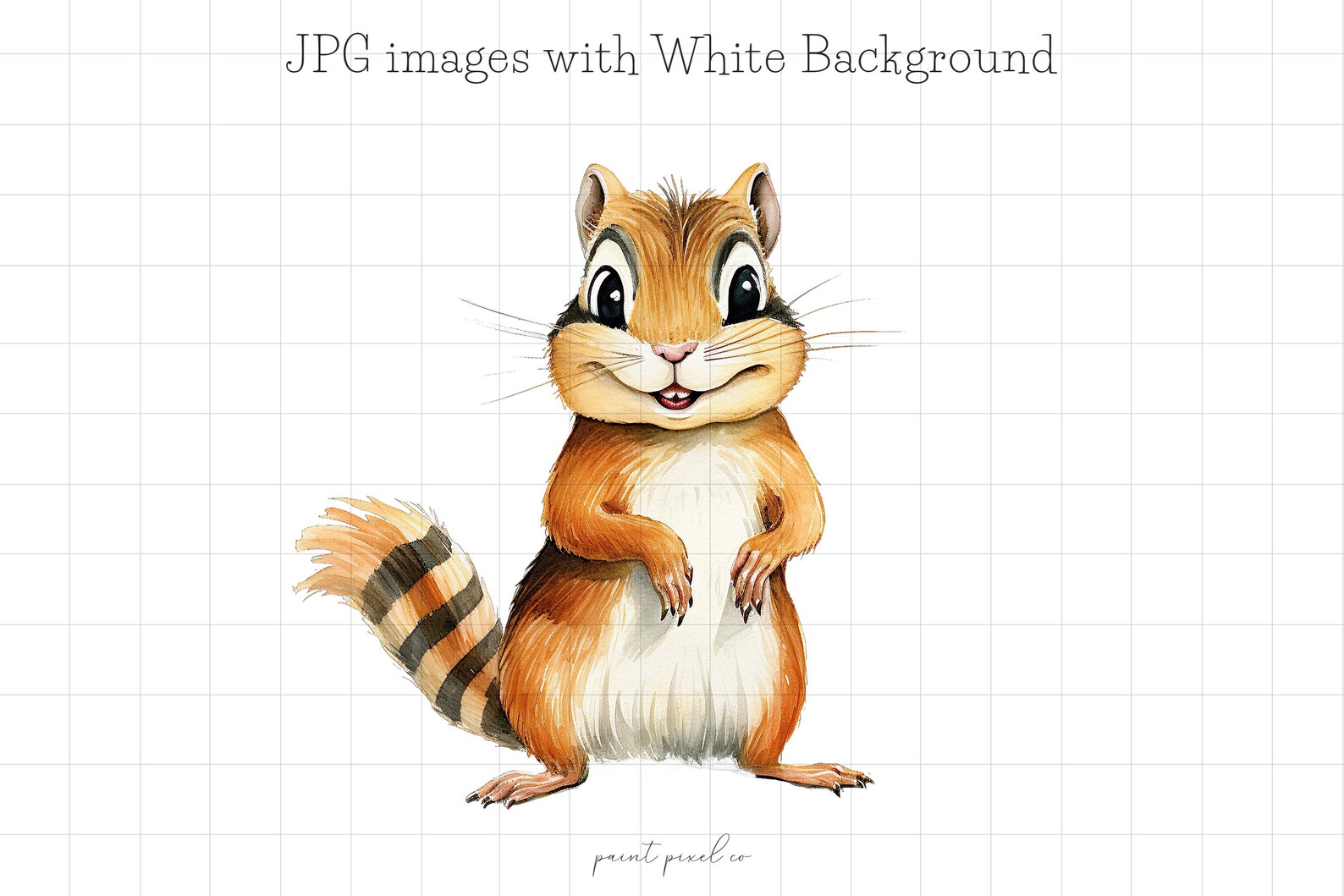 4 Quirky Chipmunks JPG Clipart Whimsical Woodland Animals Funny ...