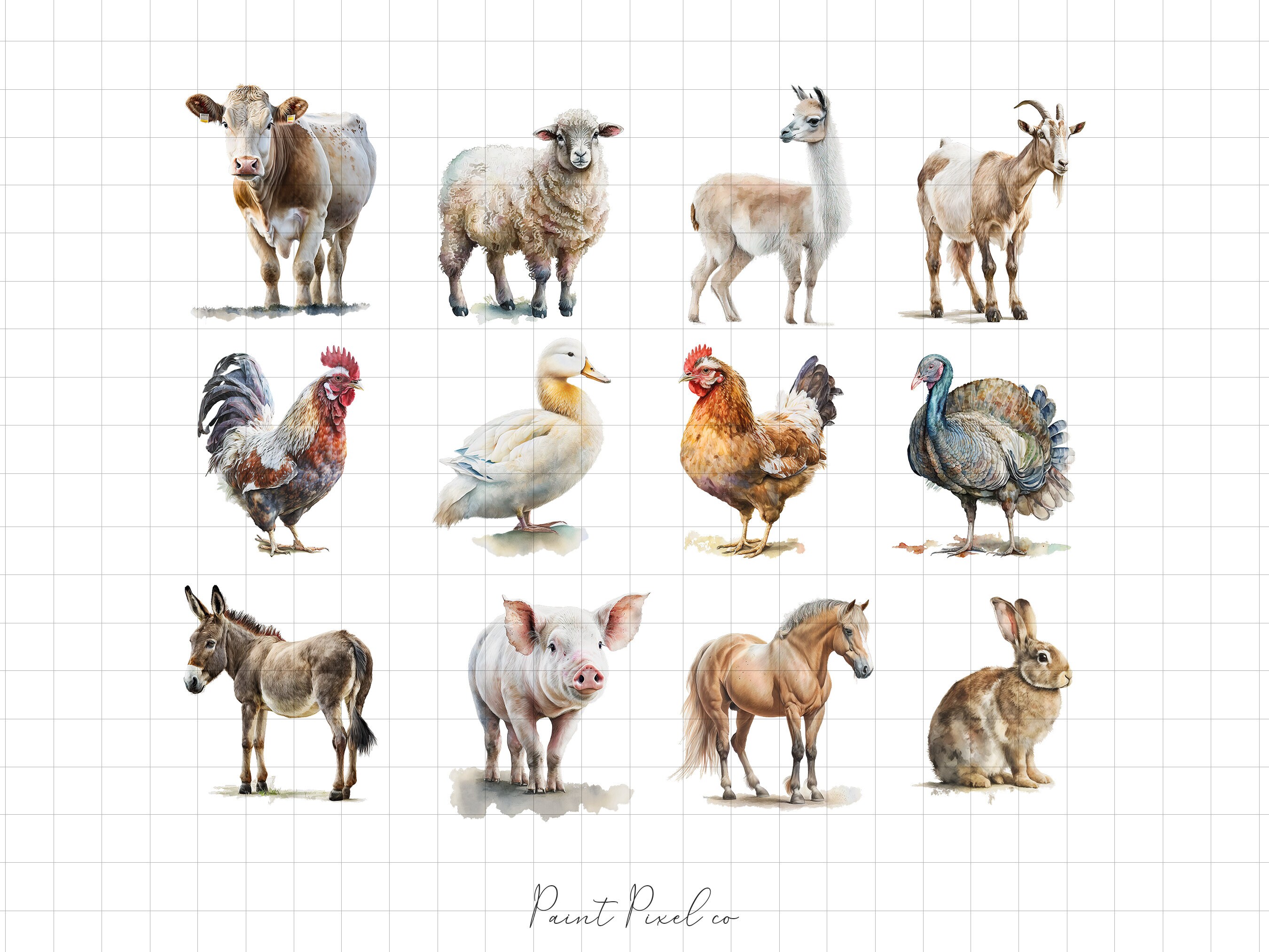 Animals PNG Bundle Safari Animals Farm Animals Woodland PNG Ocean Life ...