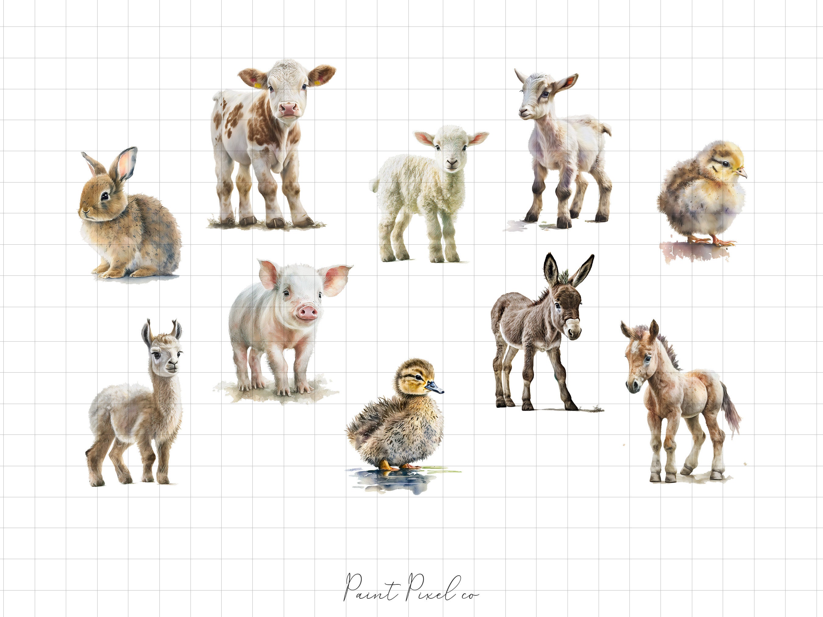 Farm Animals PNG Baby Animal Lamb PNG Baby Sheep Cute Animals Clipart ... Farm Animals PNG Baby Animal Lamb PNG Baby Sheep Cute Animals Clipart ...