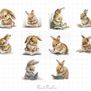 10 Bunny Clipart Rabbit Easter Clipart Reading High Quality Jpgs ...