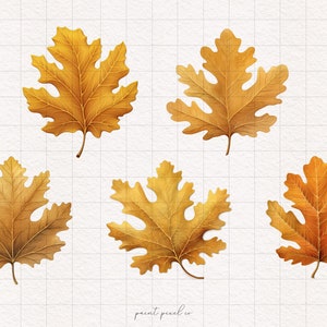 10 Autumn Leaves Clipart Boho Leaf Scenery PNG Watercolor Maple ...