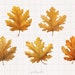 10 Autumn Leaves Clipart Boho Leaf Scenery PNG Watercolor Maple ...