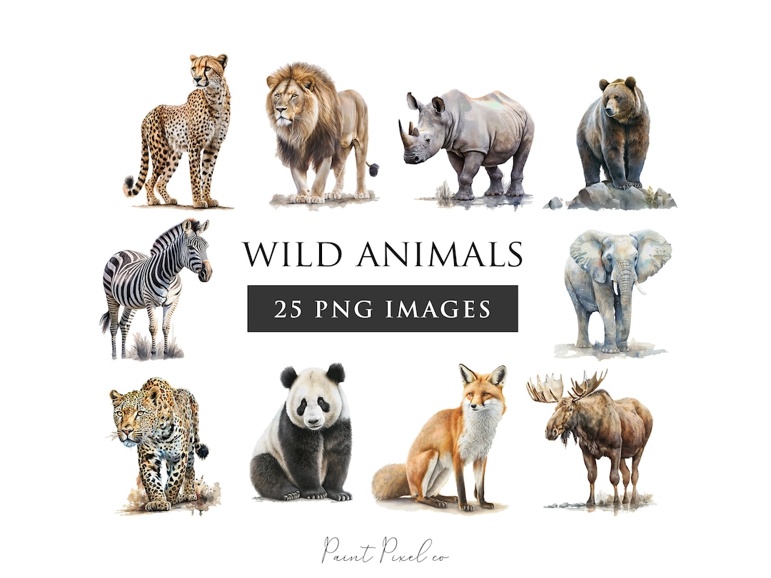 Safari Animals PNG Wild Animals Clipart Tiger Lion Elephant - Etsy