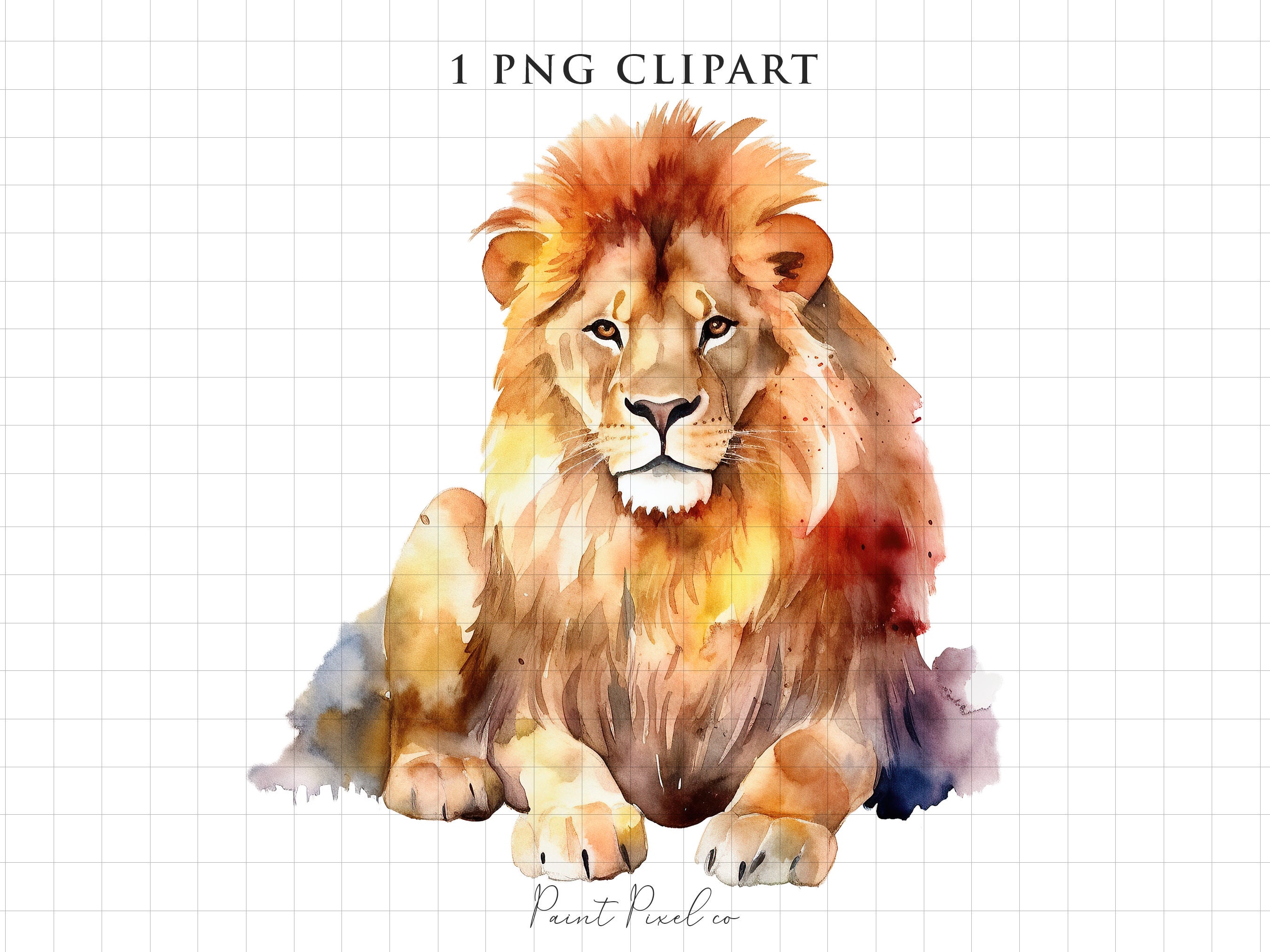 Safari Animals Clipart Lion PNG Watercolor Lions Clipart - Etsy