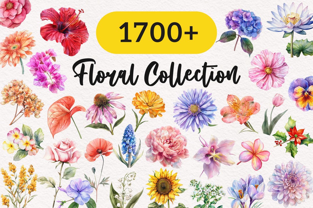 Flower Clipart Bundle Floral PNG Watercolor Summer Blooms Autumn Spring ...