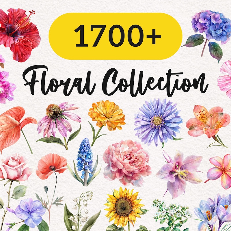 Rainbow Blooms Clipart - Etsy UK