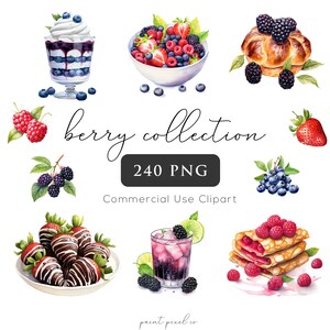 Berry Clipart Bundle PNG Clip Art High Quality Food Illustration Fruit ...