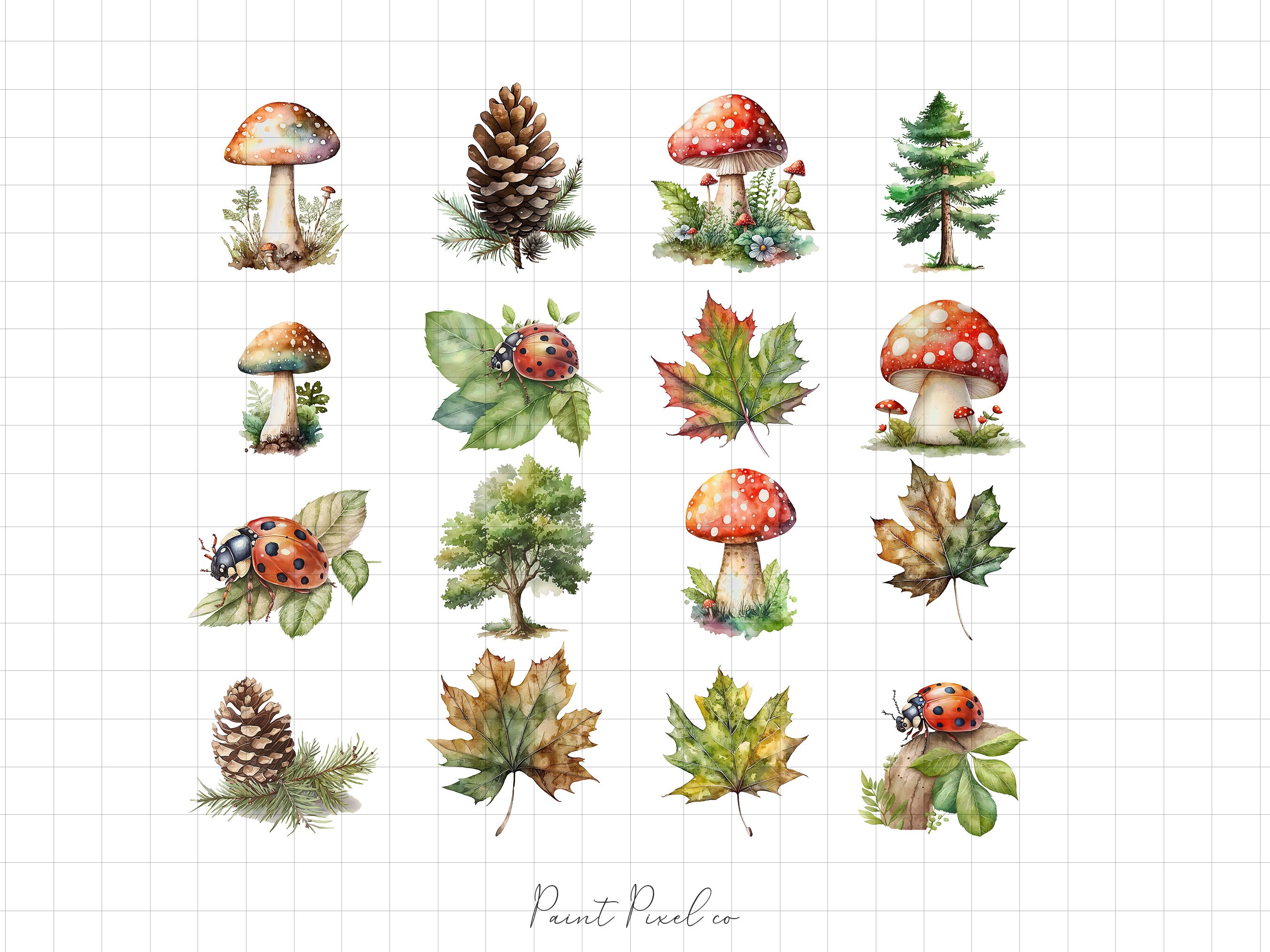 75 Woodland Animals PNG Watercolor Baby Animals Clipart Baby - Etsy