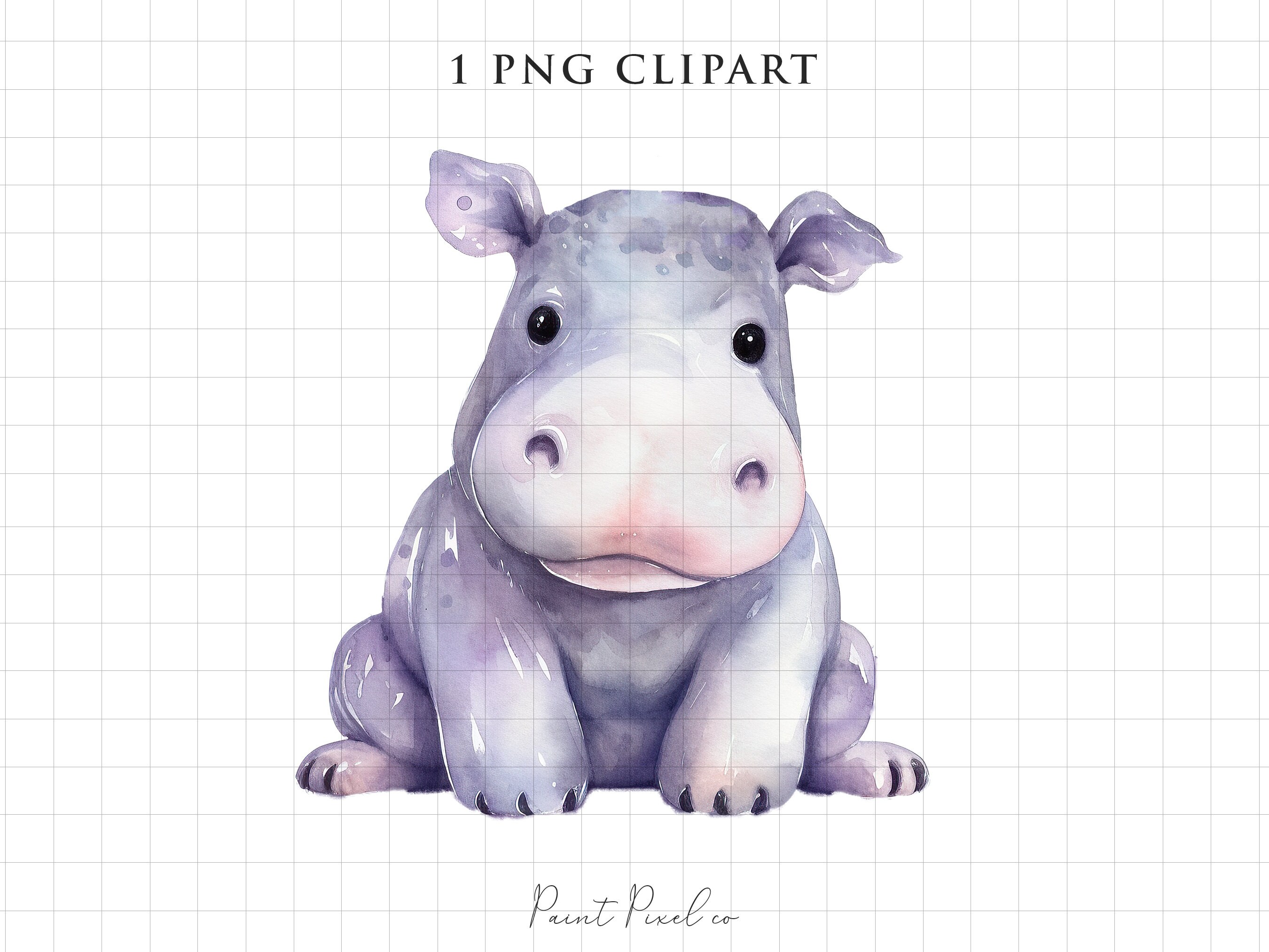 Baby Safari Animal Clipart Baby Hippo PNG Watercolor Jungle Animals ...
